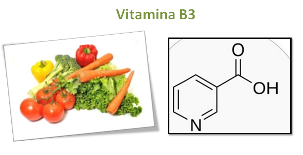 ANÁLISIS TEMÁTICO DEL BROCOLI