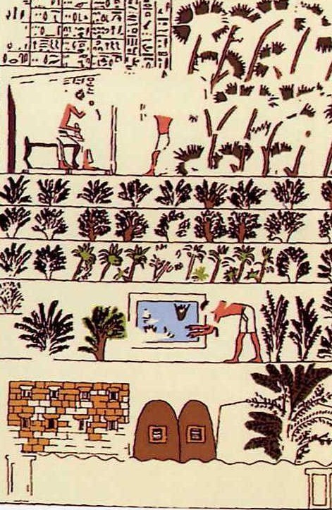 Las plantas en el A.E: escena tumba de Ineni