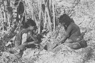 Save Evironment: Chenchus - A Deccan Tribe in India struggling for survival