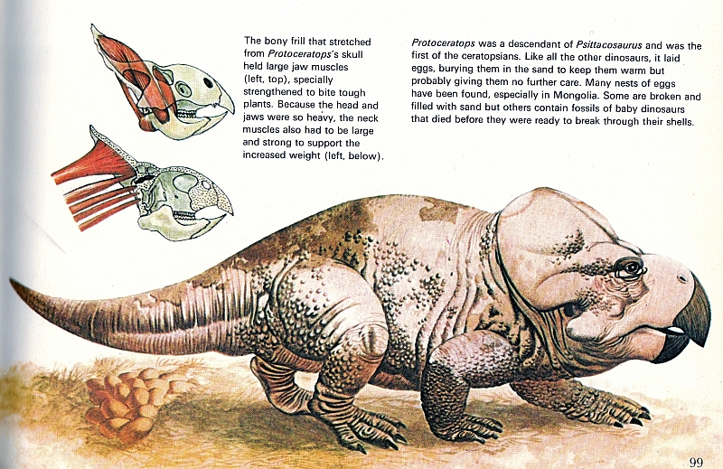 Love in the Time of Chasmosaurs: Vintage Dinosaur Art: The evolution ...