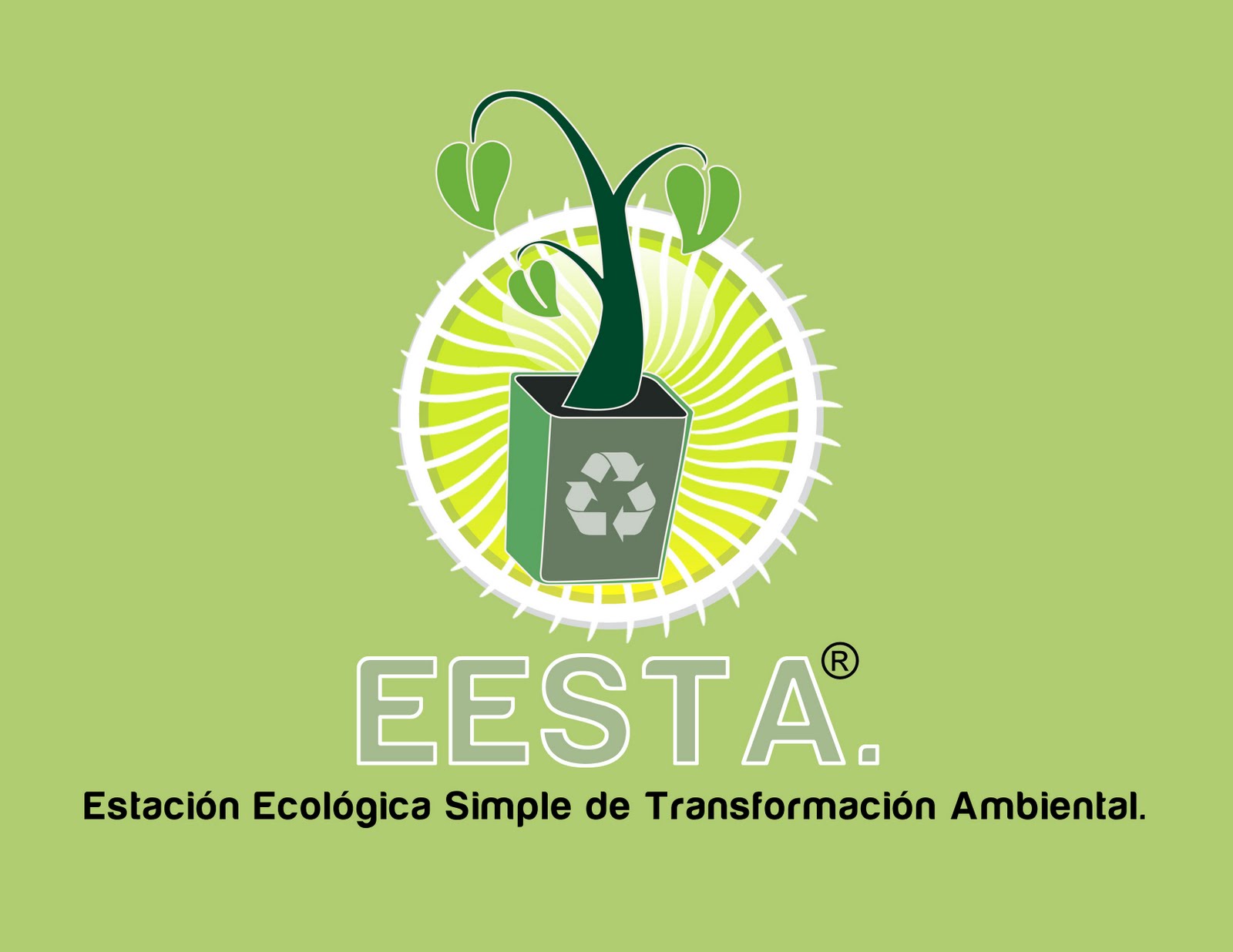 Nace E.E.S.T.A, para que sepas que hacer con la desta