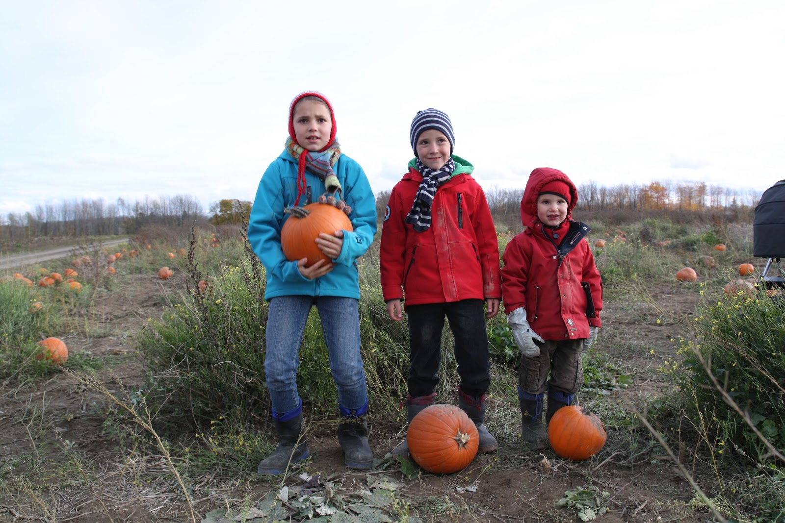 Les Monami au Canada: Ma cabane au Canada...