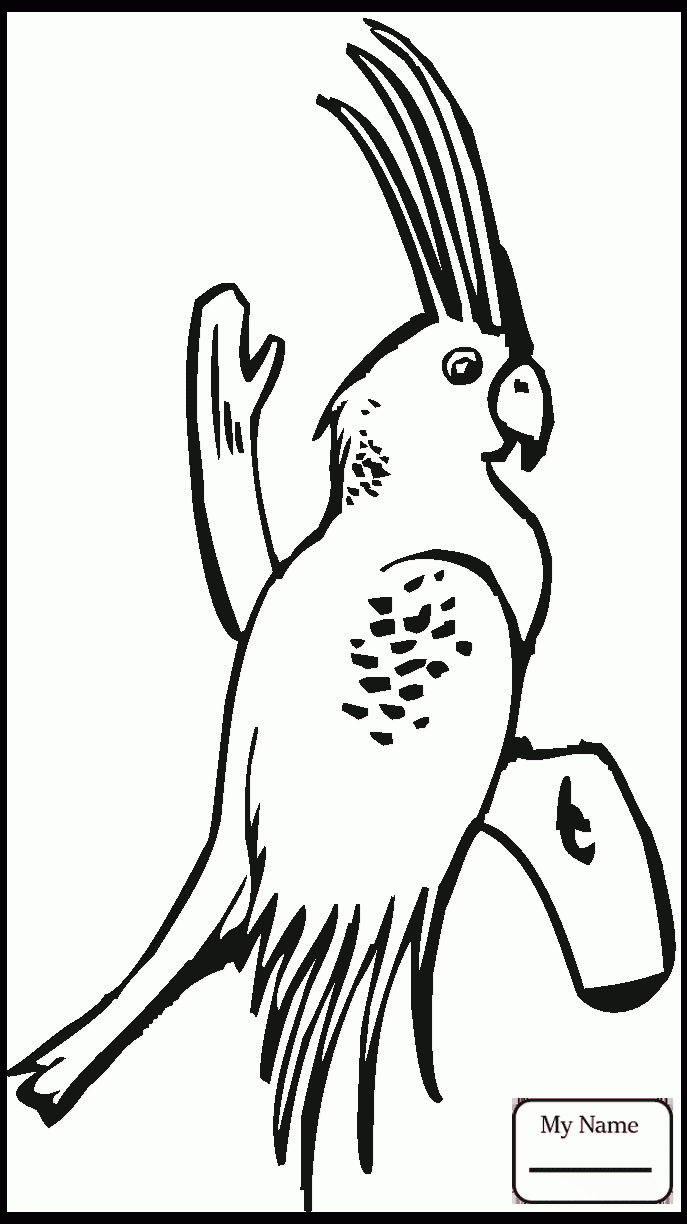cockatoos coloring pages - jiahajava