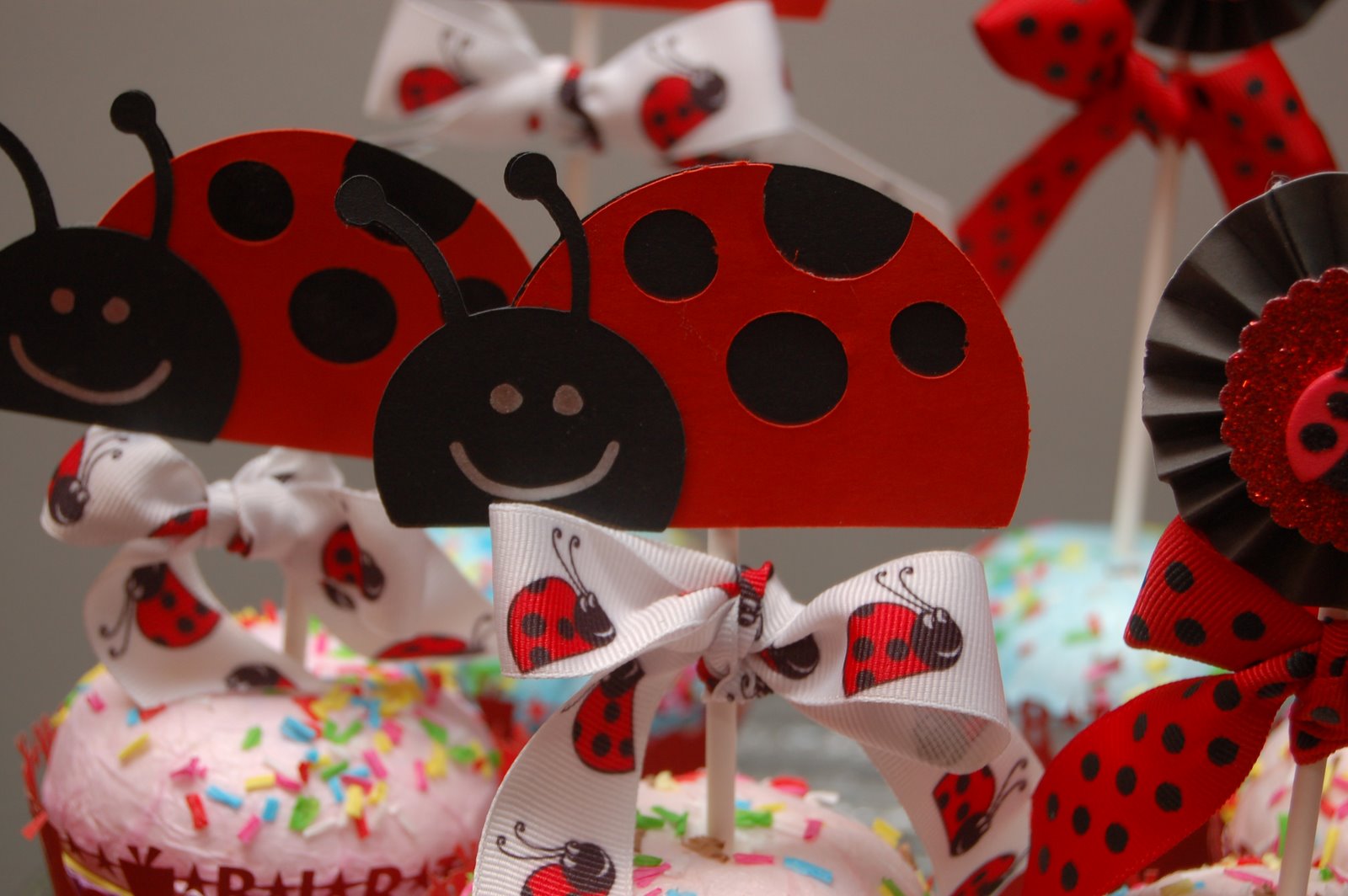 Maddyson's Lane: Lady Bug Party