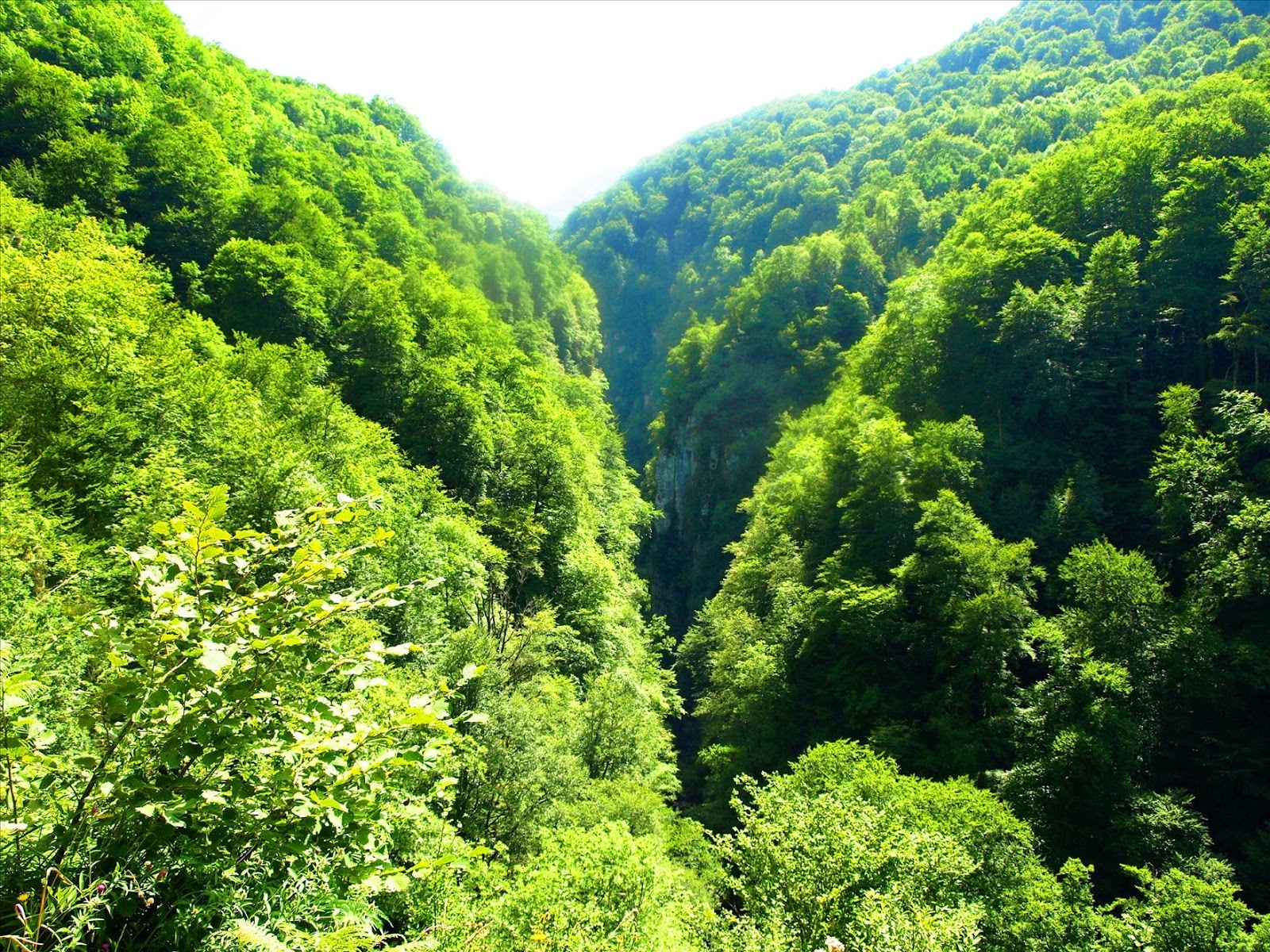 Best Pyrenees Photos: Nature Photography - Larrau - Pyrenees - France
