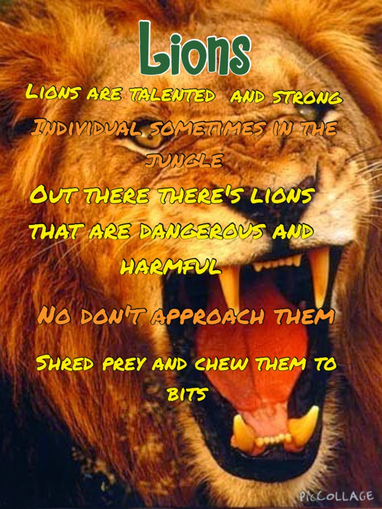 Room 8 Kidd-li-winks: Acrostic Poems