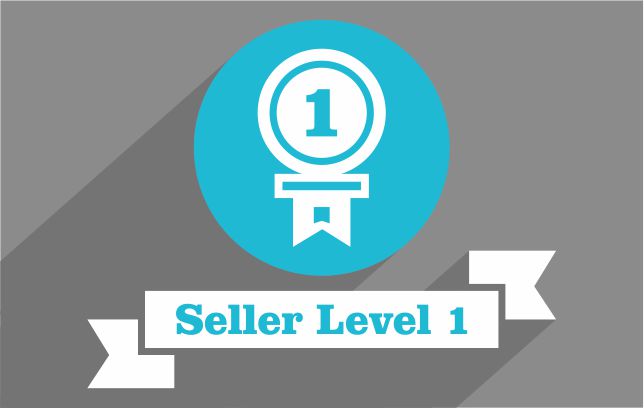Mengenal 4 Tingkatan [Level] Seller di Fiverr | Tukang Ketik - #tukangketik