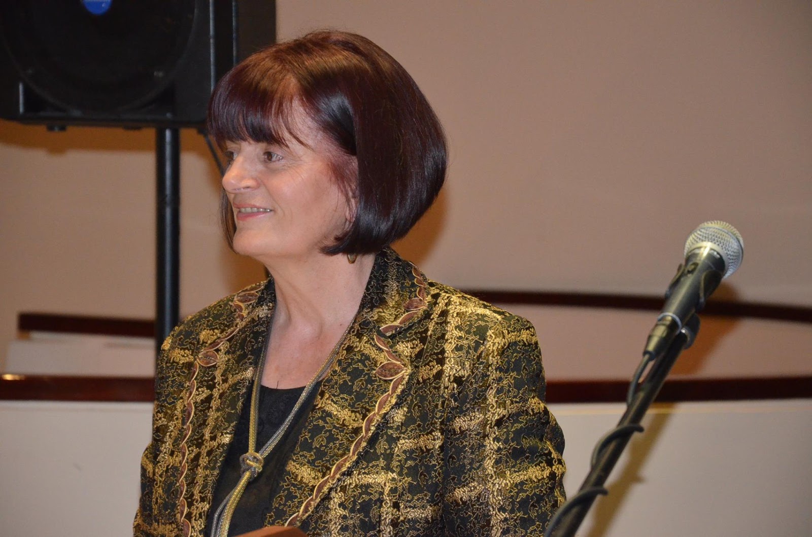 Pjesničkom riječju "STOP NASILJU" - POETRY WORD "STOP VIOLENCE ...