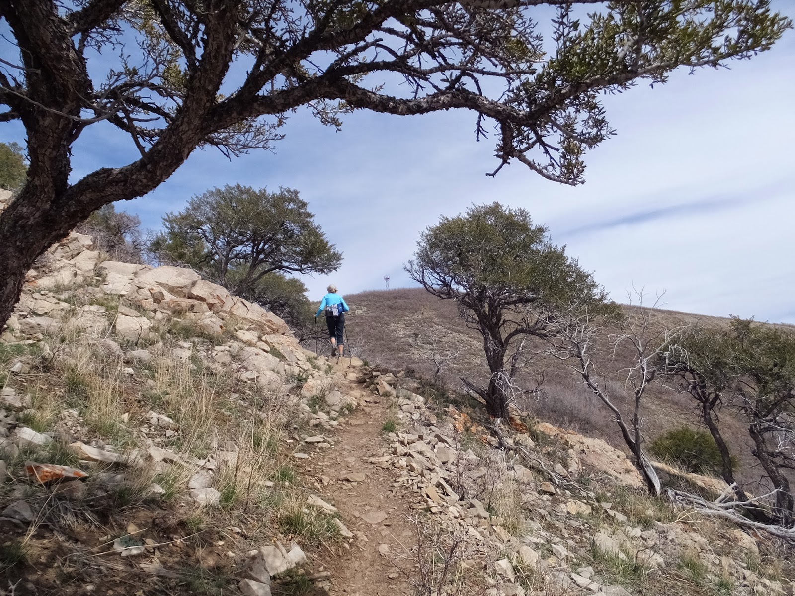 Crazy Hiker Chick: Mount Wire a.k.a Big Beacon