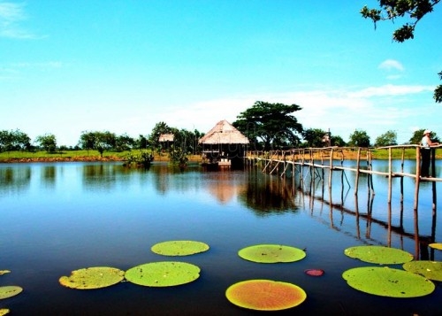 Leticia Amazonas travel guide and information for backpackers ...