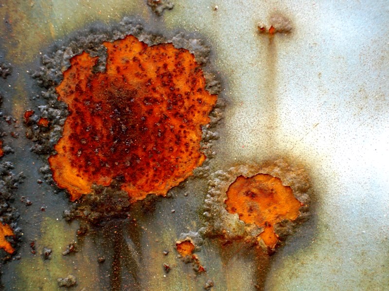 The Global Miller: 15/06/2015: Most mould inhibitors to be labeled ...