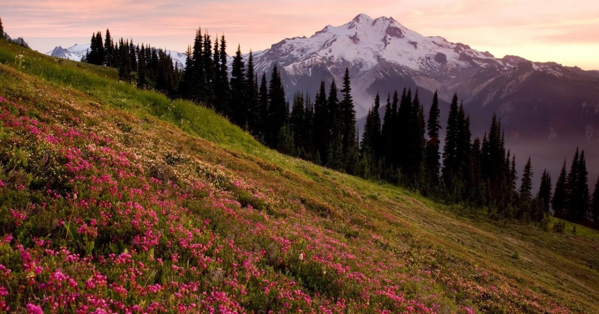 Es Cosa de Gaia: 3.1 Movimientos de ladera