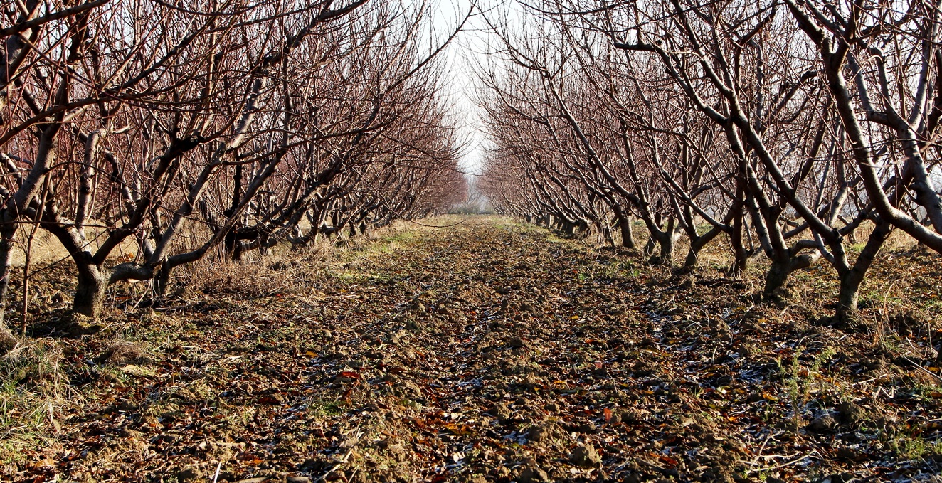 Putovanja, planinarenje i skijanje (Traveling, mountaineering and ...