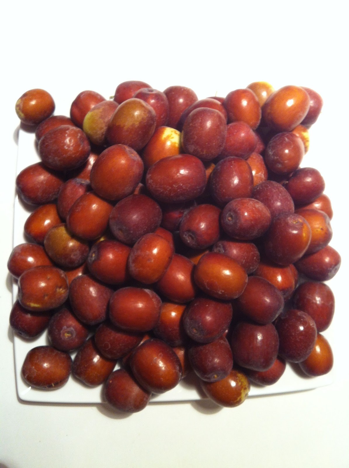 casa rural Pecci: Recolección de los azufaifos.