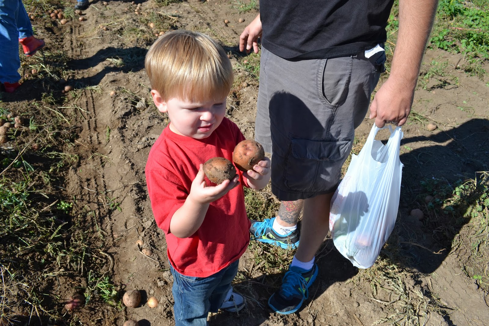 Miller Farms - Platteville Colorado - Building Our Story