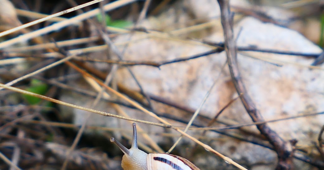 misako mimoko: Slow making