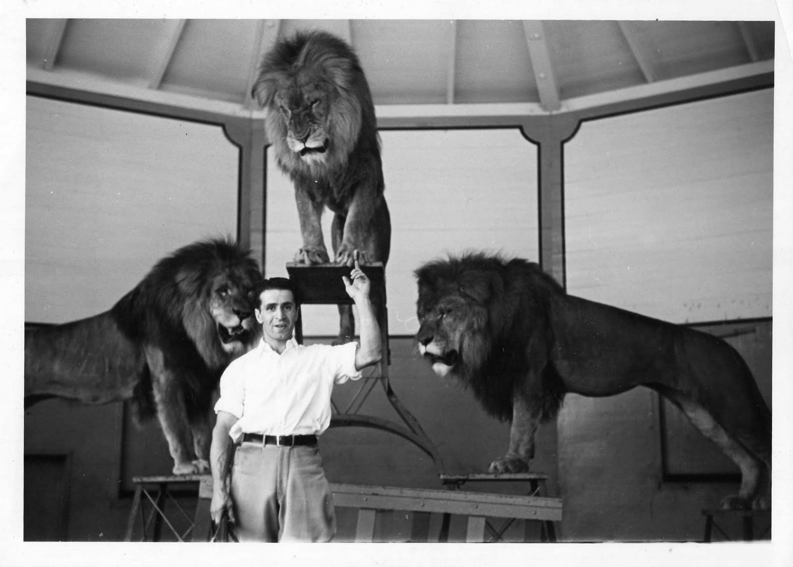 The Circus "NO SPIN ZONE": Ghost Zoo--Benson's Wild Animal Farm