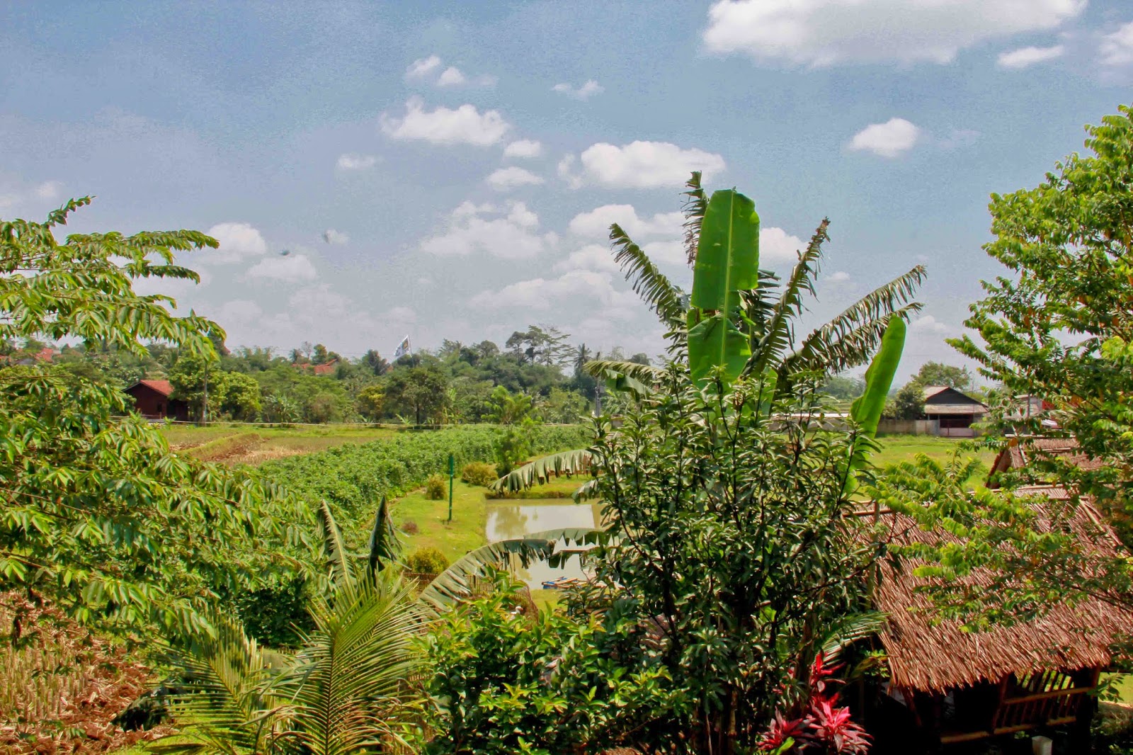 Tempat Makan Enak Di Ciomas Bogor - Seputar Tempat