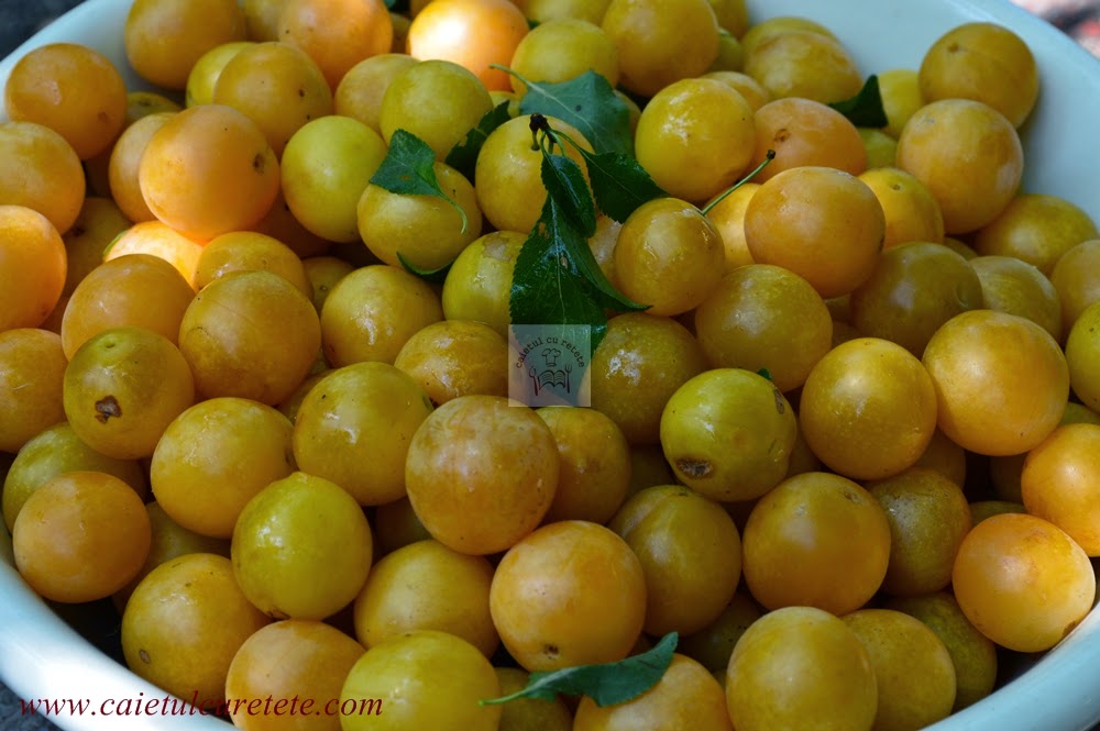 Otet de corcoduse galbene - CAIETUL CU RETETE