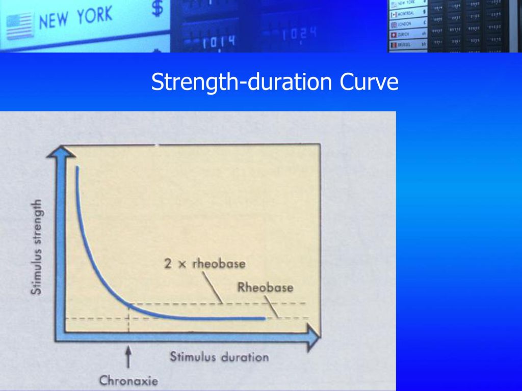 EXAMS AND ME : Strength Duration Curve