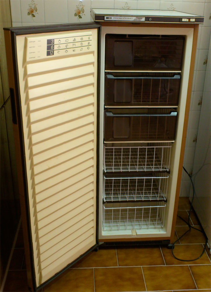 Blog Bazar dos Usados e NOVOS também: Freezer Prosdócimo 110v ...