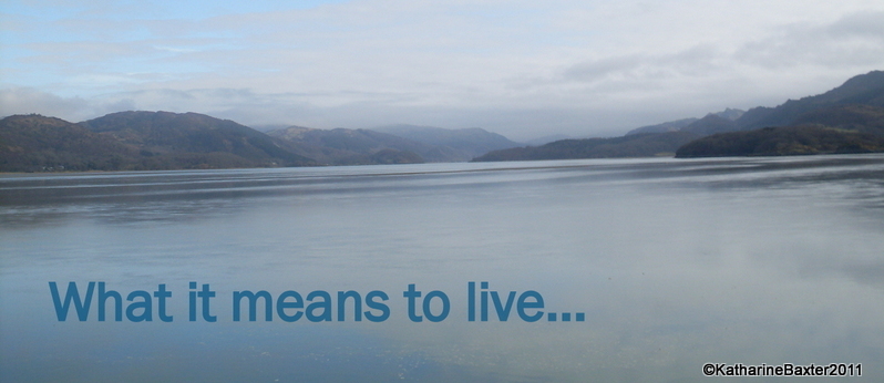 This Is What Is Means To Live this-is-what-is-means-to-live