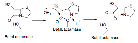 Learn Medicine Quickly: Beta Lactams