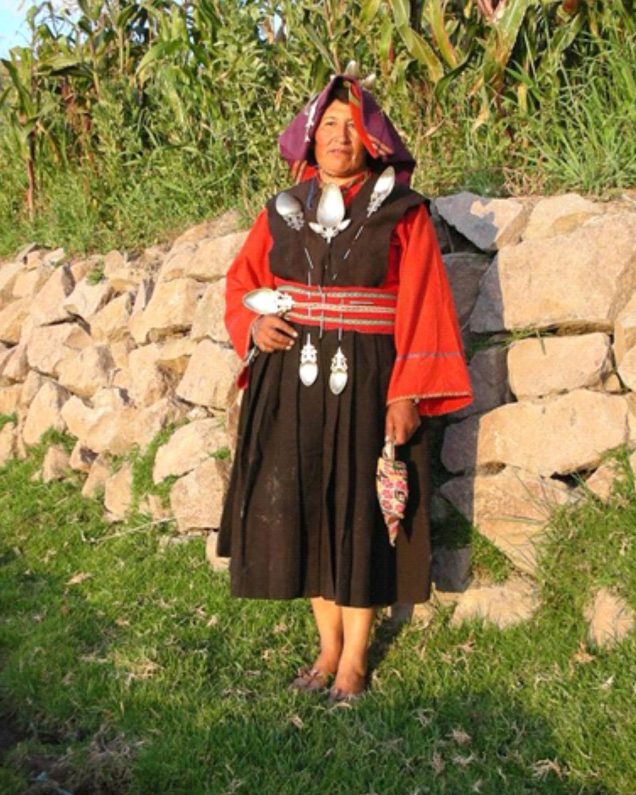 David Poma Huanca: julio 2013