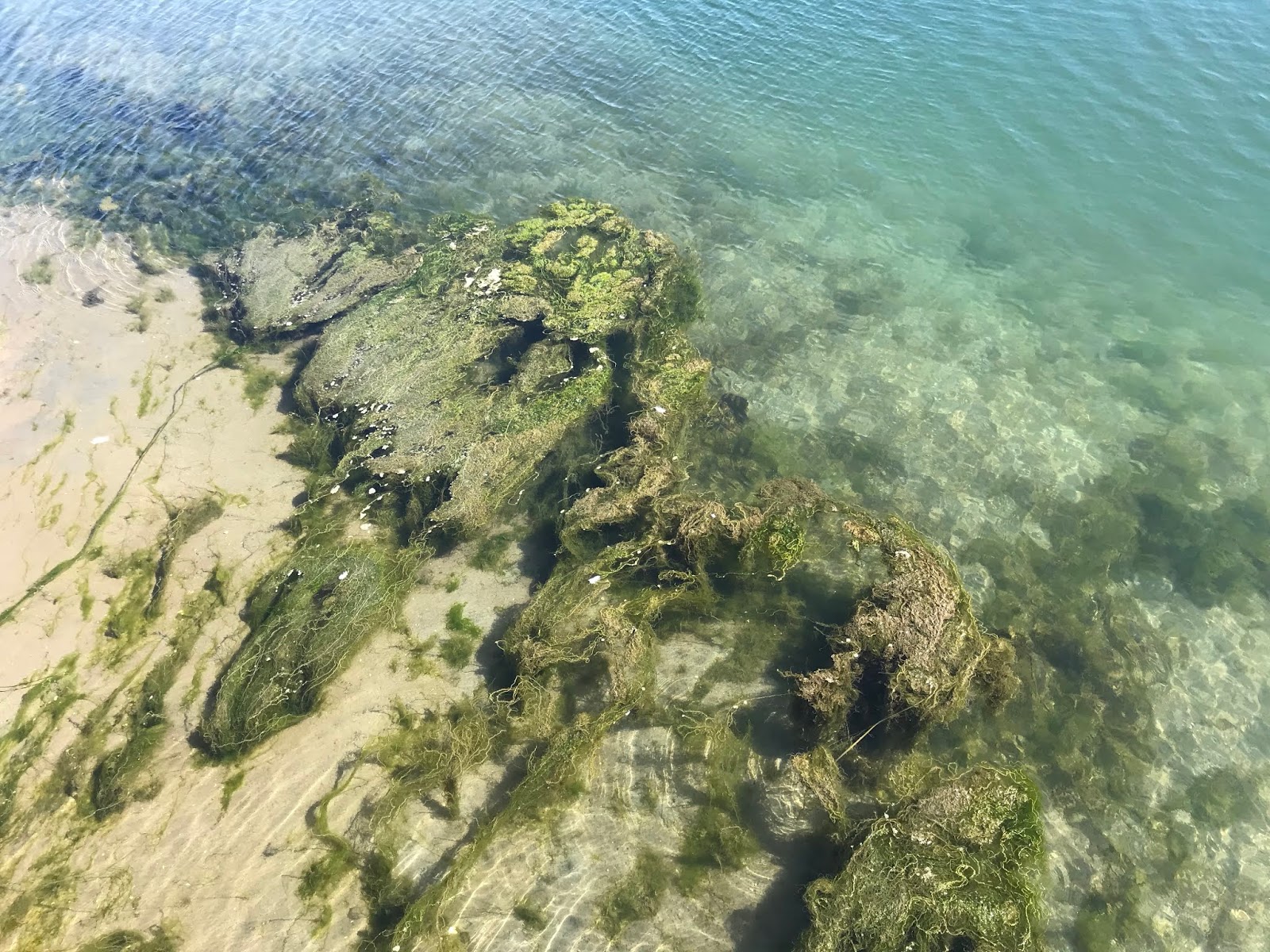 Studio 907: The Colorado Lagoon, Long Beach, California and its ...