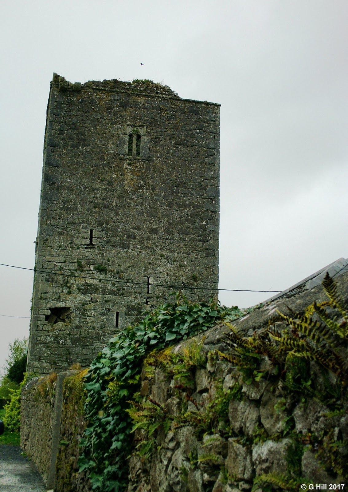 Ireland In Ruins: Ballyshanemore Castle Co Kilkenny