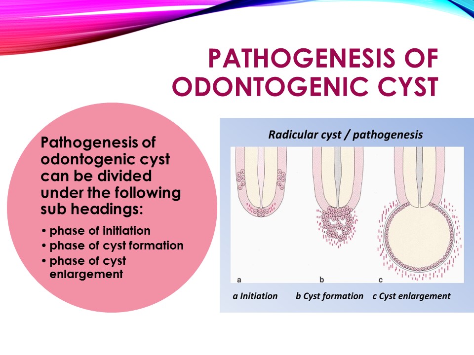 Dentosphere : World of Dentistry: July 2017