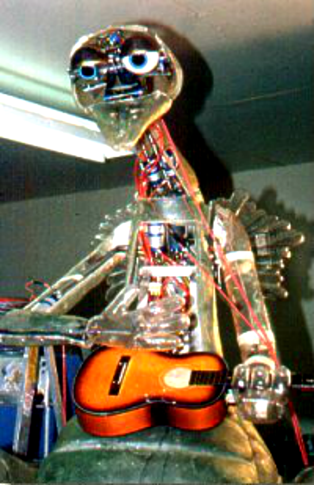 Wastelnd: Countryfied, Electrified, Genuine Country Dragon - The ...