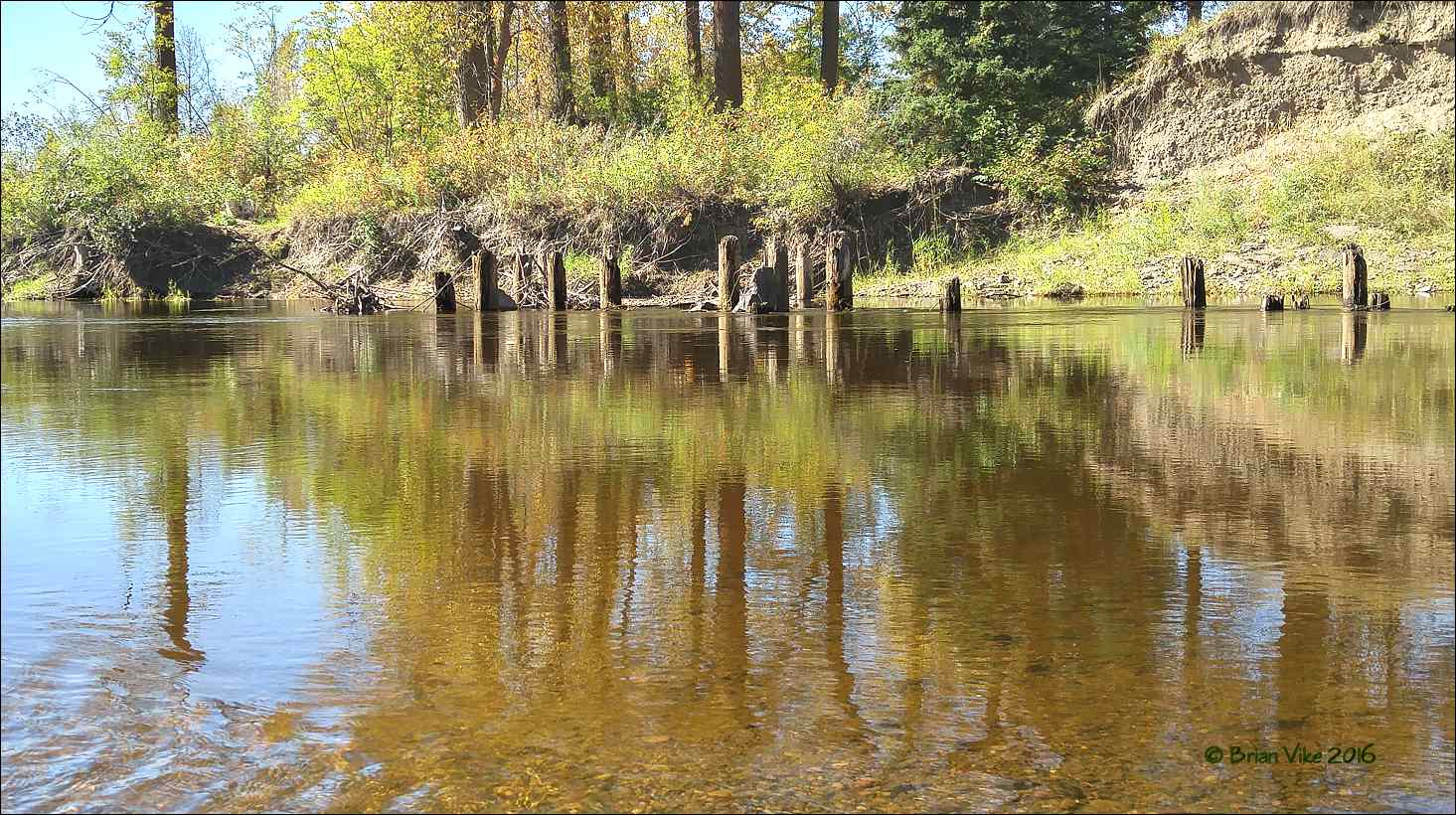 Northern Interior British Columbia: Old Bridge Pilings Little Bulkley ...