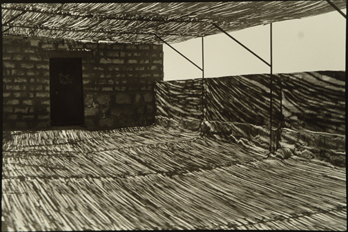 JOHN BANASIAK PHOTOGRAPHY: jordan