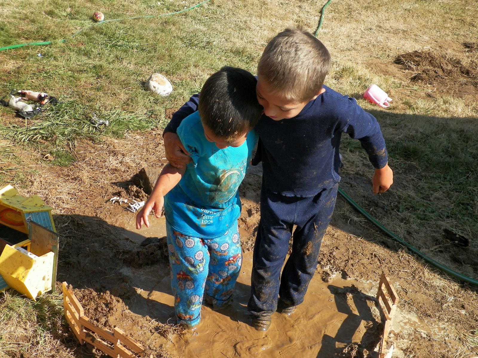 From Cedar Pond to Laughing Dove Farm : Mud Buddies