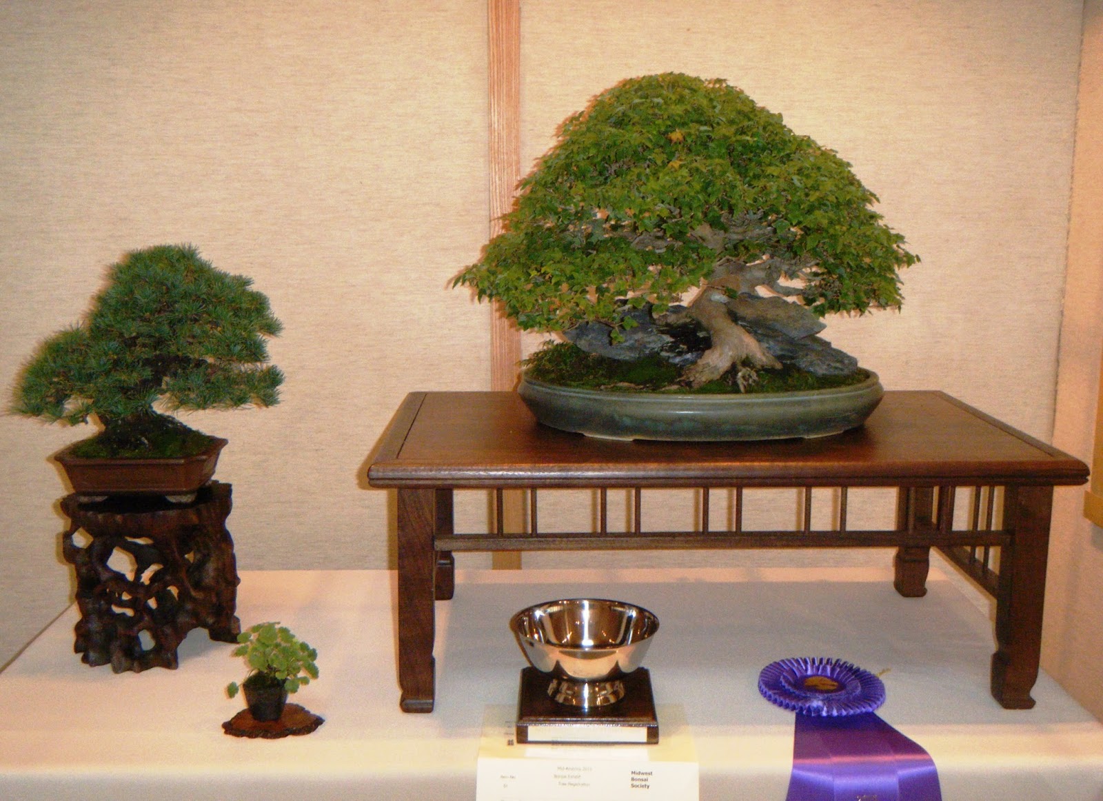 Bonsai in Hoosierland: 38th Annual Mid-America Bonsai Exhibit, Chicago ...