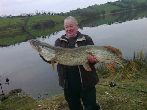 International Fishing News: IRELAND: huge 31 pound pike