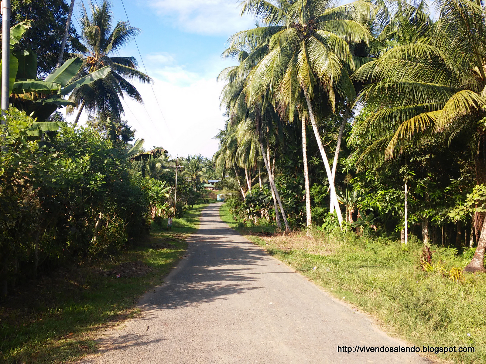 VIVENDO SALENDO: Wewak, la Capitale dell'Area del Sepik River.