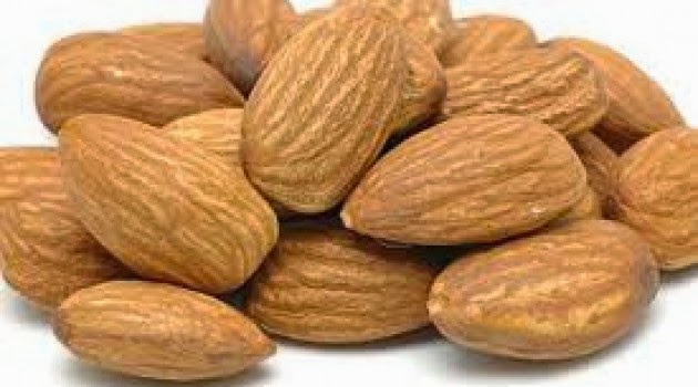 Manfaat buah kenari tanaman khas indonesia - Tanaman Buah Indonesia