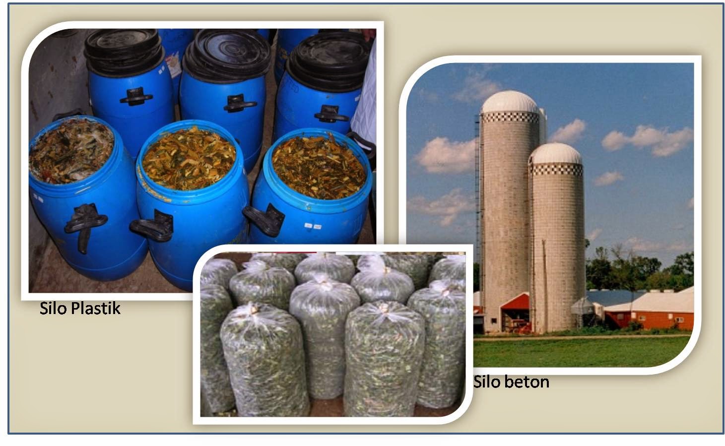 pengertian dan tujuan pembuatan silase - Akademi peternakan