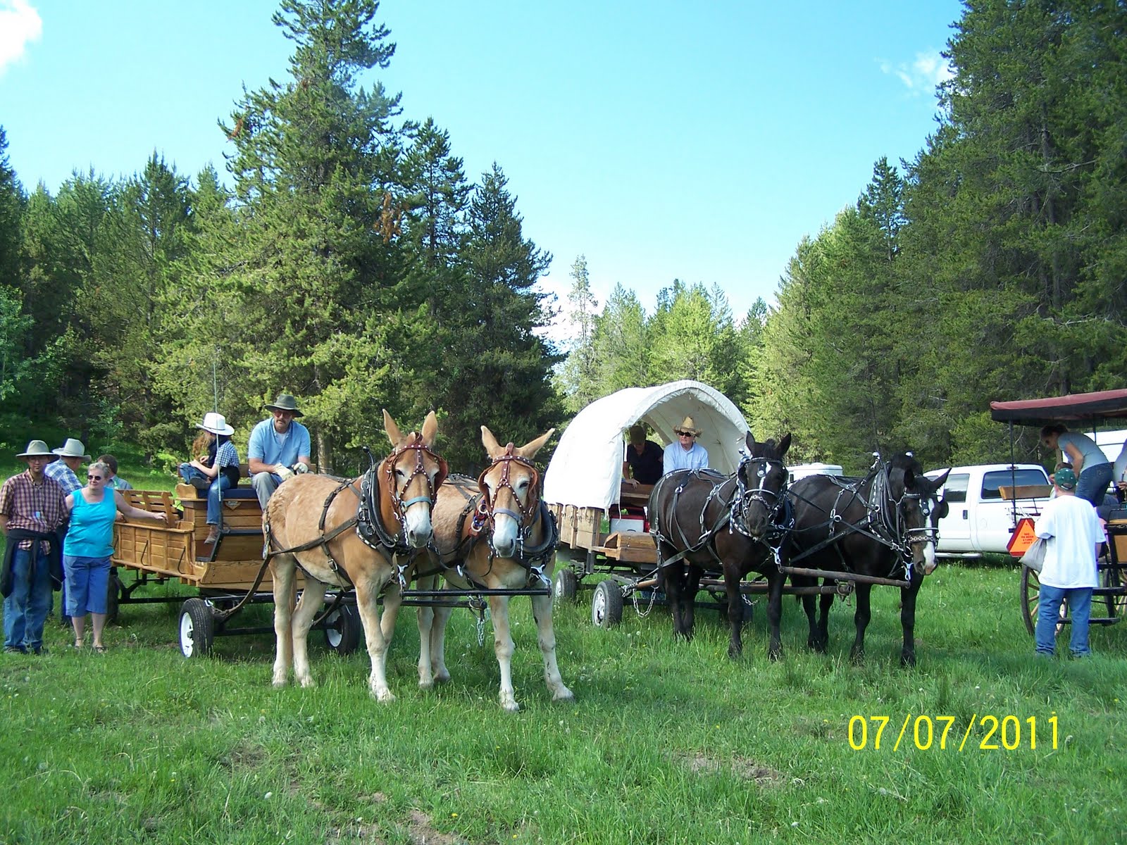 Intermountain Draft Horse and Mule Association: Pictures of the wagon ...