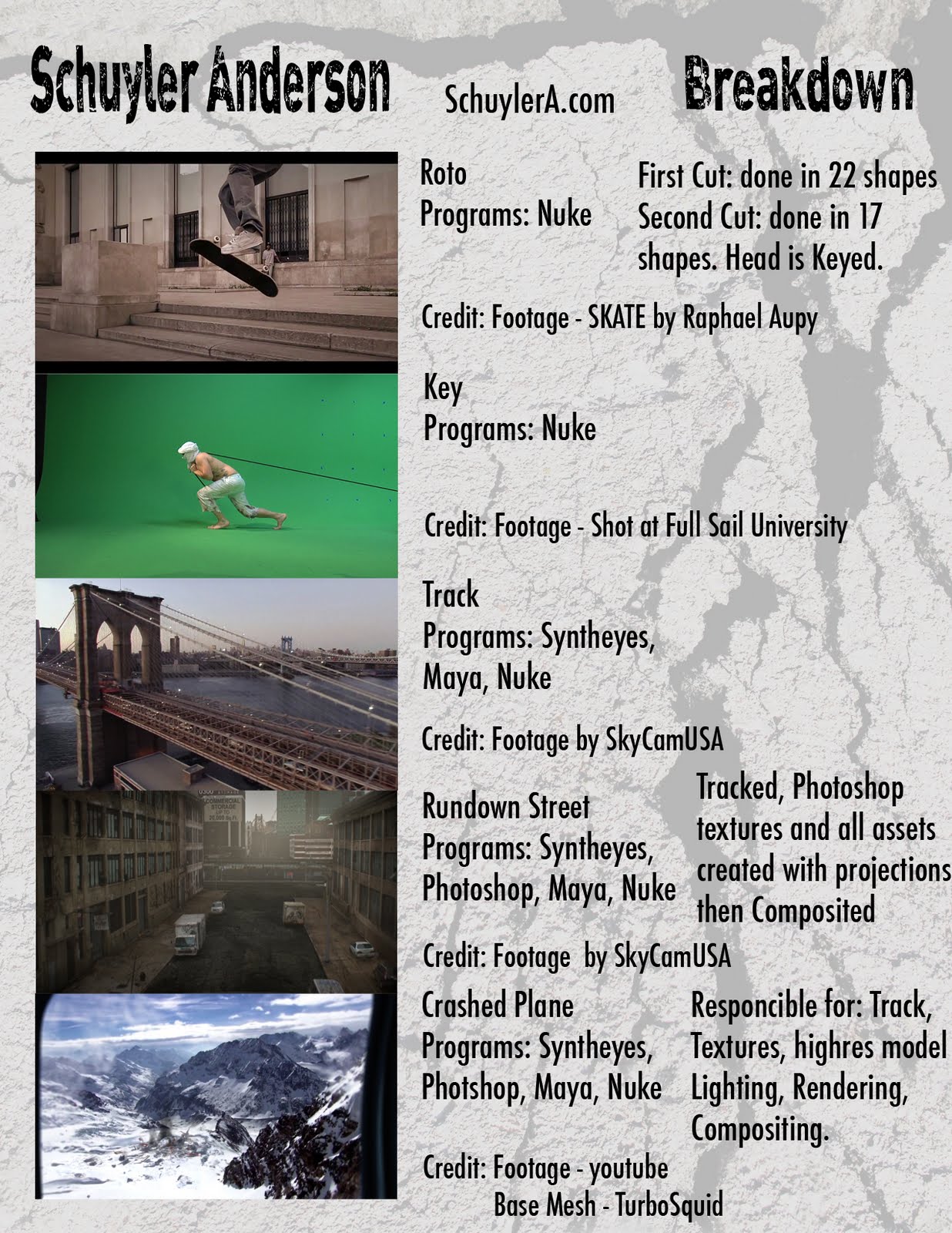 The Work and Findings of Schuyler Anderson: Breakdown Sheet