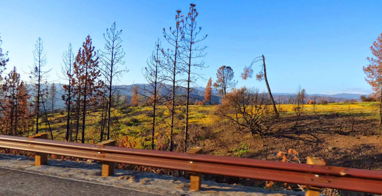 Geotripper: You Don't Know What You've Got 'Til It's Gone: They Burned ...