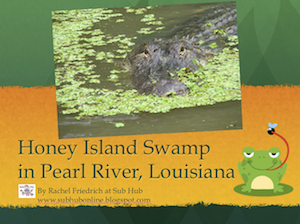 Classroom Freebies Too: Feeling Swamped?