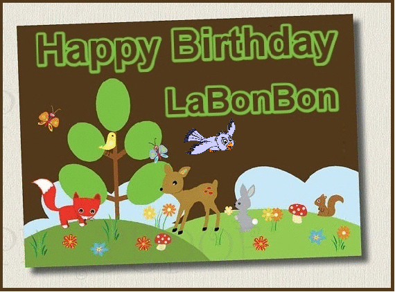 Reflections from Bon Bon Pond