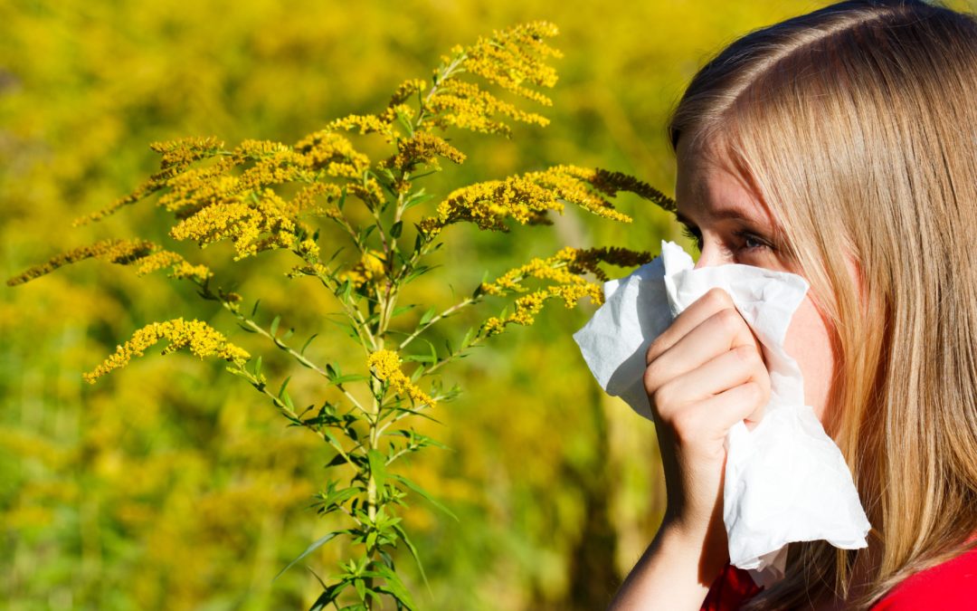 What Allergens are high in the autumn or fall?