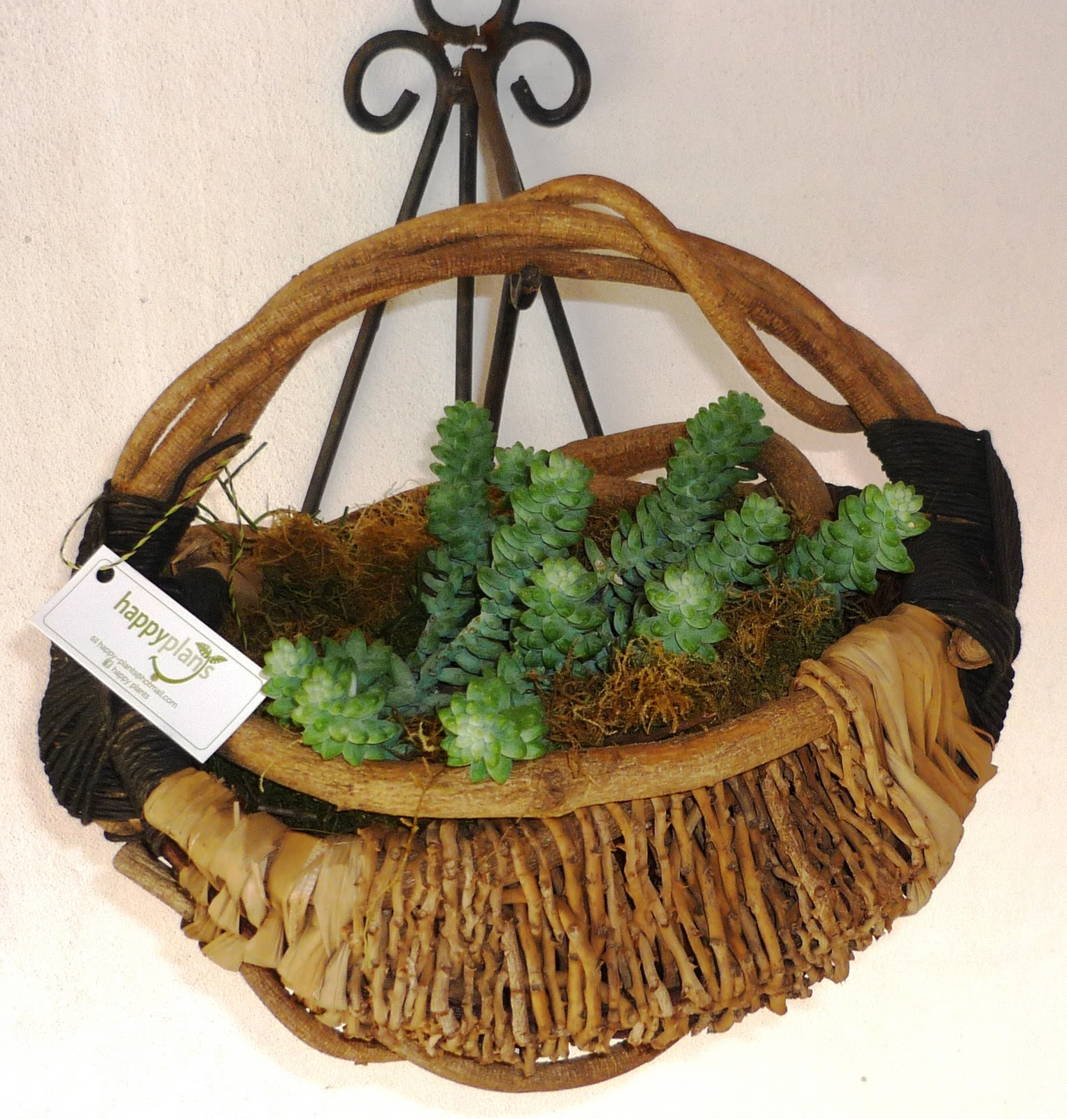 Happy Plants: Cestería Botánica