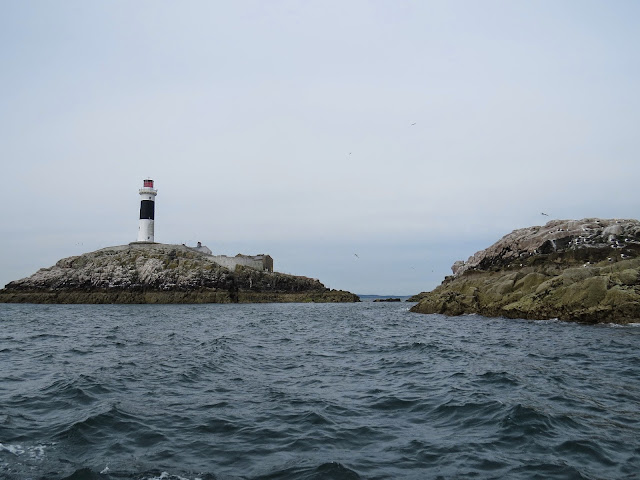 Pete's Irish Lighthouses: Rockabill