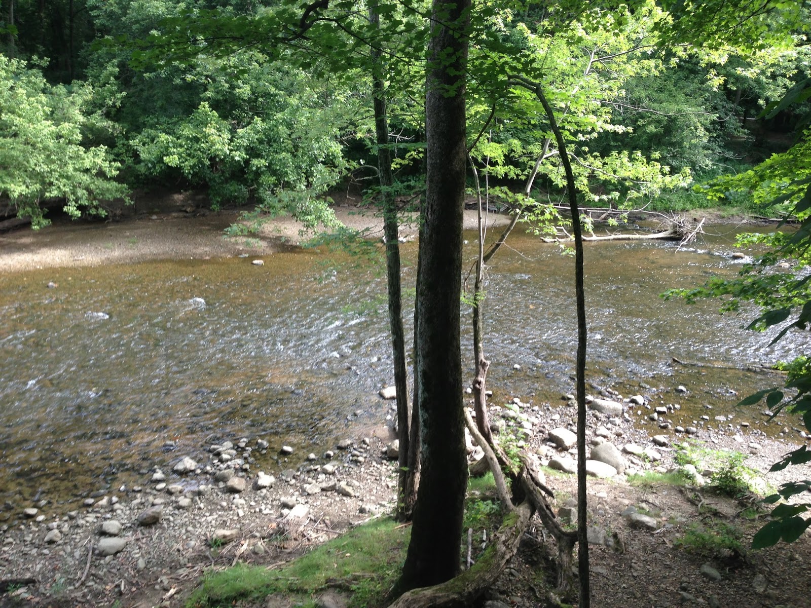 My Rotten Dogs: Hiking at Fort Benjamin Harrison-Indy Dog Friendly