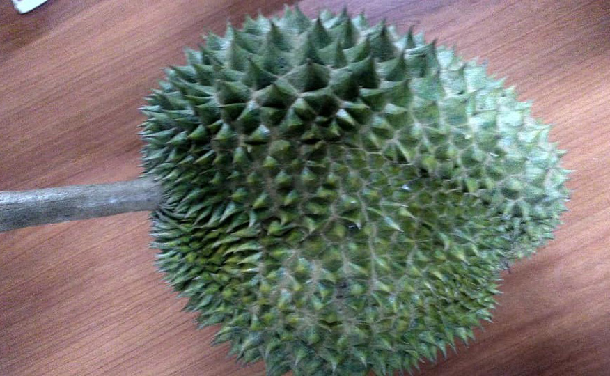 11 Jenis Durian Popular dan Laris Di Malaysia
